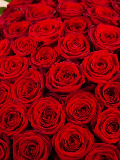 Belles Fleurs Flowers | Occasion Flower Specialists